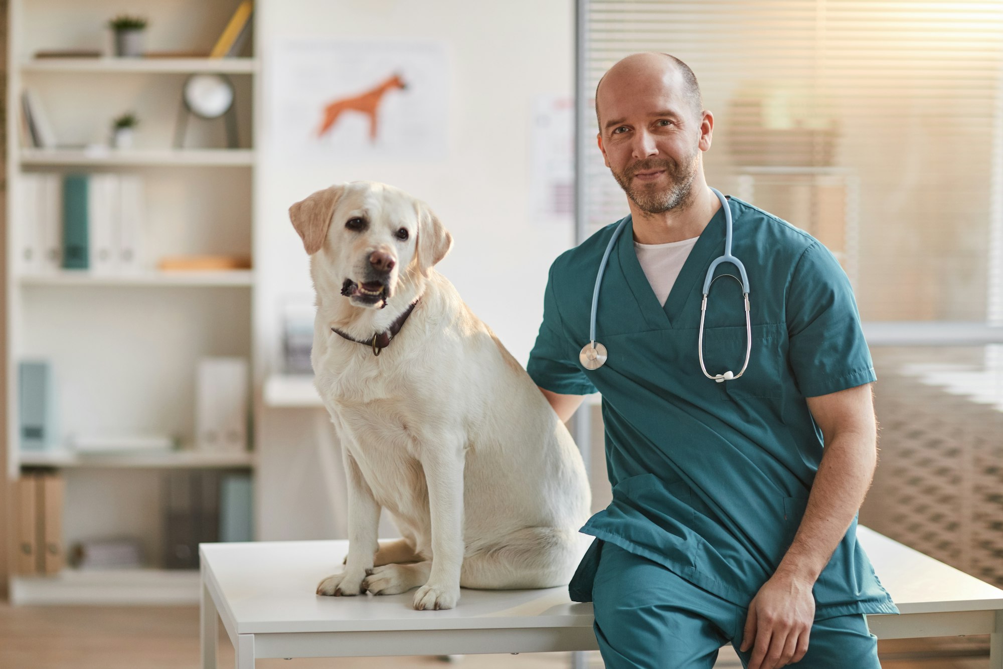 Colorado’s 2024 Proposition 129: A New Role in Veterinary Care or Just ...
